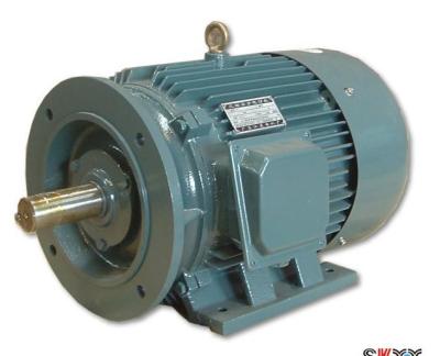 Cina YEZ ha affusolato i motori elettrici speciali 50Hz 60Hz del motore del freno del rotore per la gru in vendita