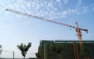 Cina Gru a torre con altezza di 55m sotto il gancio, gru a torre del carico di punta 1.3ton 5013 in vendita