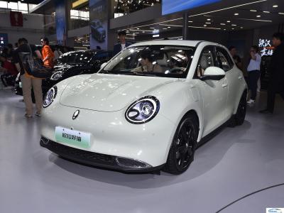 401km Range 2024 Ora Good Cat EV Hatchback Passenger Car for Electric Vehicle