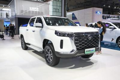 Changan Lantuozhe Mini Pickup EV The 405KM Ride-On Electrical EV for Energy