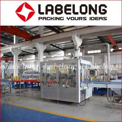 China Flüssige Flaschenabfüllmaschine RCF-W24-24-8 für HAUSTIER Flasche aller Volumen und Formen zu verkaufen