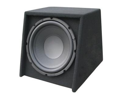Cina Dimagrisca l'automobile autoalimentata del Subwoofer, il nero a 10 pollici degli altoparlanti dell'automobile autoalimentata in vendita
