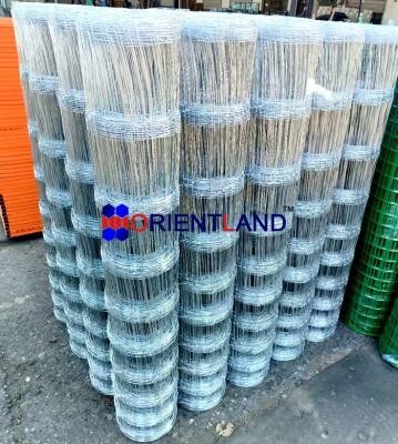 China Hot Dip Galvanizing Sheep Net Hinge Joint Farm Field Fence for sale