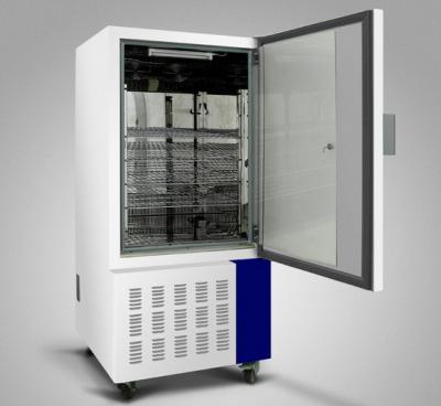 Chine Constant Temperature Humidity Incubator for Pharmaceutical and Chemical Industry à vendre