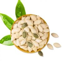 Quality Organic Shine Skin Pumpkin Seeds A Healthy and Sustainable Snack for sale