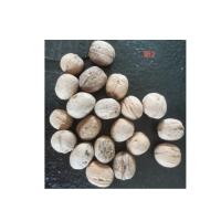 Quality China Factory Wholesale New Product Washed Walnut 185 With Cheaper Price and High Quality for sale