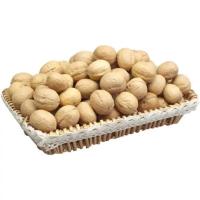 Quality China walnuts Factory Supplier Wholesale Healthy inshell Organic walnuts Food with Walnuts kenrel for sale