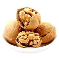Quality Wholesale Chinese xinjiang akhrot walnut in shell with high quality walnuts kernel ODM OEM for sale