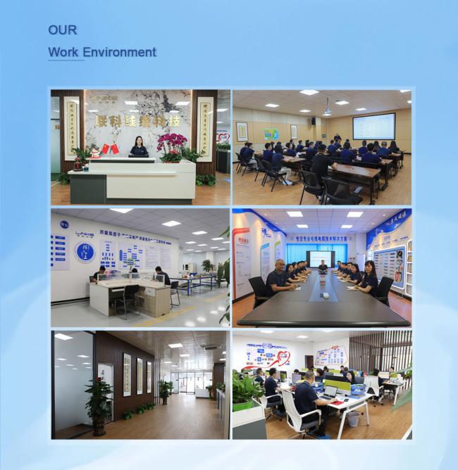 Customized Design Hv Powerline Wire Cable for New Energy Vehicles Automobile