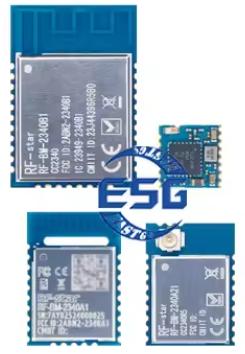 China RF-BM-BG22C3 Bluetooth module for sale