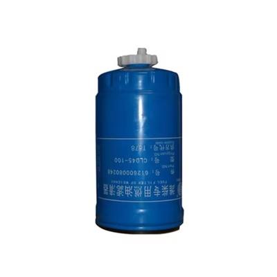 Cina Numero di parte originale 612600080248 Filtro di combustibile Weichai per HOWO Shaanxi Leo0100378A in vendita