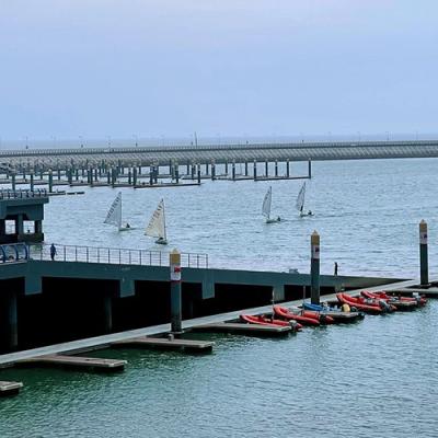 중국 주문형 알루미늄 플로팅은 저보수로 용이한 설치를 삭감합니다 판매용