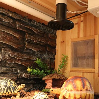 Cina Alta precisione ceramica di forma della lampadina di calore dell'animale domestico infrarosso 110v in vendita