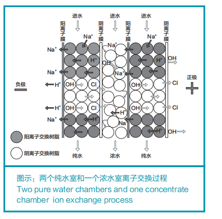EDI Module Working Principle Diagram