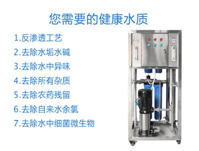China 12000LPH Aqua Pure Reverse Osmosis System automática SS304 en venta