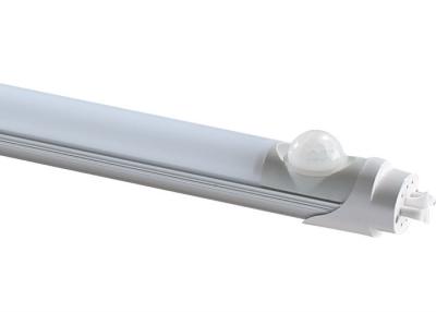 Cina G13 illuminazione della metropolitana del sensore di moto della base PIR LED, tipo ovale bianco freddo delle lampade fluorescenti T8 in vendita