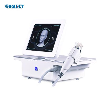 Cina Macchina frazionaria di radiofrequenza di Thermage Microneedle per il fronte ed il corpo in vendita