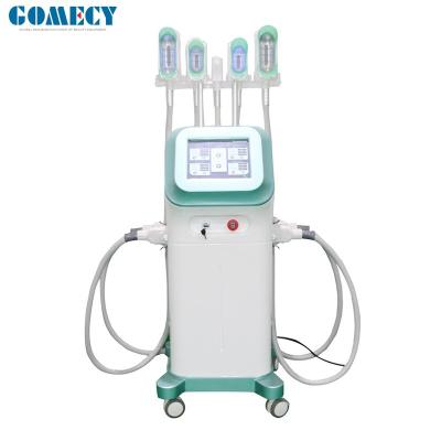 Cina AC110V macchina grassa di riduzione di Cryolipolysis di 360 gradi per il dispositivo di rimozione dei doppii menti in vendita