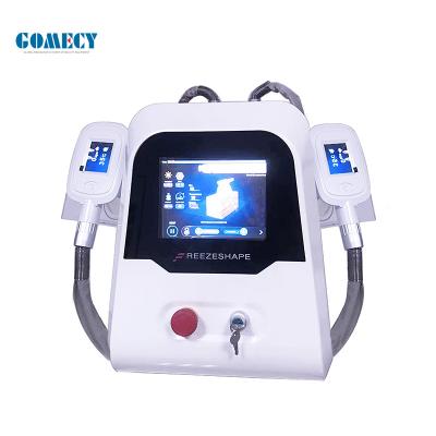 Cina 600W macchina di perdita di peso di crioterapia di 360 gradi in vendita