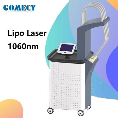 Китай Отсутствие лазера хирургии 1060nm Lipo уменьшая машину с экраном касания продается