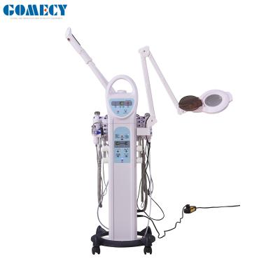 Cina 9 in 1 macchina facciale multifunzionale 900W di bellezza di Microcurrent in vendita