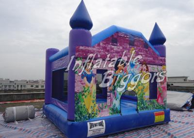 Cina Parco di divertimenti gonfiabile locativo blu/principessa gonfiabile Bouncing Castles HR4040 in vendita
