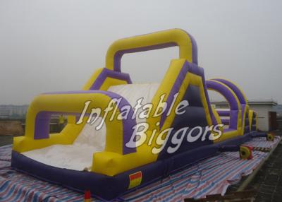 Cina Gioco all'aperto ASTM F963, divertimento Inflatables del campo da giuoco del labirinto di Inflatables in vendita