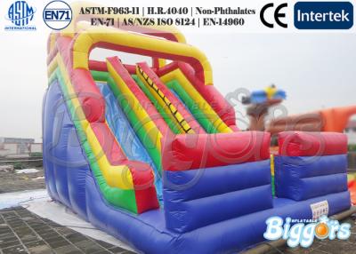 China Populaire Opblaasbare Jonge geitjes Opblaasbaar voor de Commerciële Opblaasbare dia's van het Waterpark Te koop