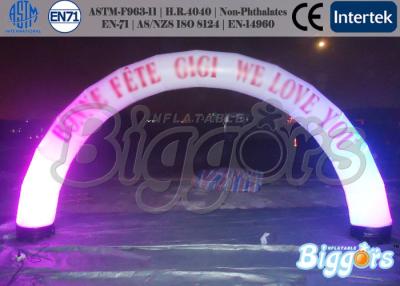 Cina Pubblicità gonfiabile di illuminazione impermeabile di Wafety in vendita