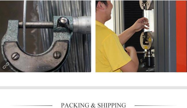 Electro Galvanized Loop Tie Wire Binding Wire Low Carbon Hot Dipped Galvanized Steel Zinc Coated Wire