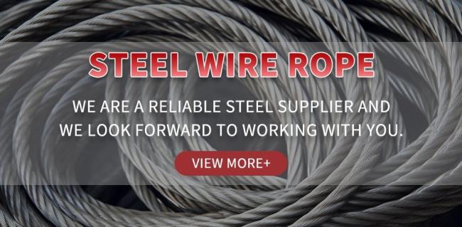 1× 7, 1× 19, 6× 7+Iws, 6× 19+Iws, 6× 7+NF, 6× 19+NF Galvanized Stainless Steel Wire Rope