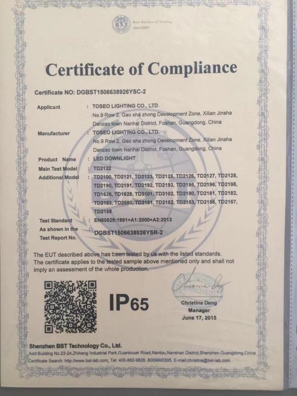 IP65 - Toseo Lighting Co., Ltd.