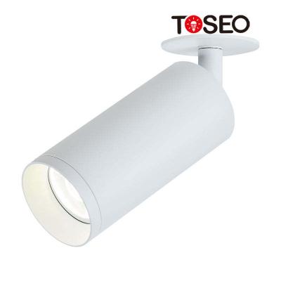 Cina Adjustable 240V Surface Mounted Downlight GU10 Pure Aluminium Material in vendita