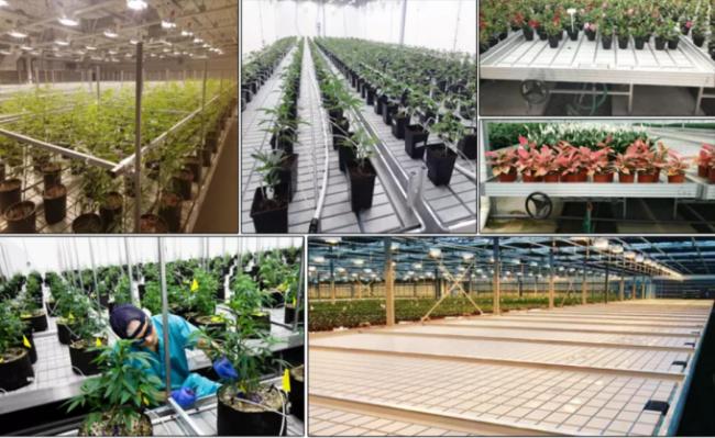 Hot Galvanized Greenhouse Rolling Benches Earthquake Proof Ebb And Flood Benches 0