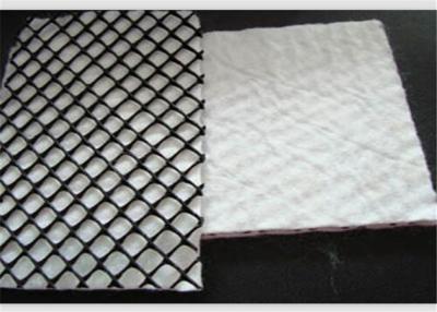 중국 건축에 있는 2 차원을 가진 사면 보호 Geocomposite Hdpe Geonet 판매용