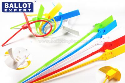 Cina Personalizzi i marchi di plastica numerati di sicurezza, marchio di sicurezza della serratura dell'etichetta in vendita