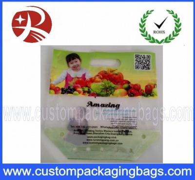 Cina Sacchetto del cursore della chiusura lampo di OPP CPP/rinforzo di plastica del fondo della borsa della chiusura lampo in vendita