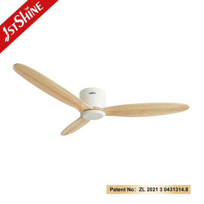 ceiling fan ceiling fan
