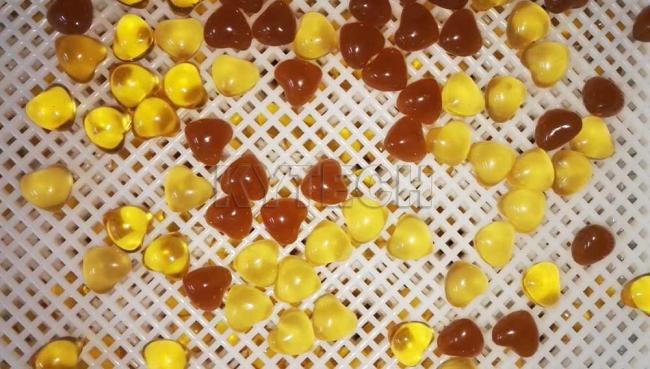 Softgel Encapsulation Machine in use