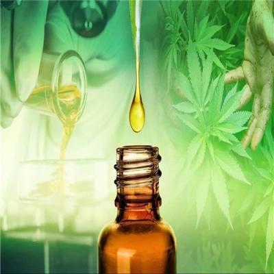 China Máquina de la cápsula de SS316 Softgel/máquina automática de la cápsula para las empresas farmacéuticas en venta