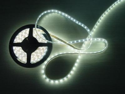 China DC12V-24V white color 3528 led strip light for sale
