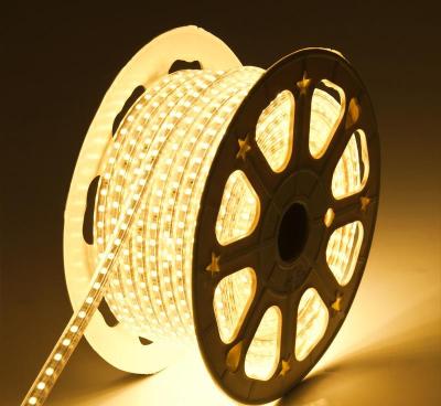 China AC110V/220V 5050 warm white color Led Flexible Strip Light for sale