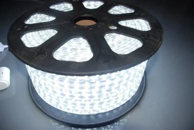 China AC110V/220V 5050 white color Led Flexible Strip Light for sale