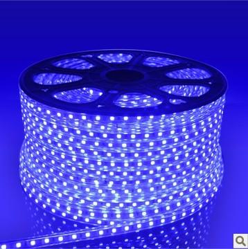 China AC110V/220V 5050 Blue color Led Flexible Strip Light for sale