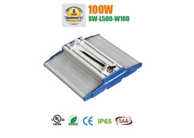 Cina 170lm per illuminazione lineare industriale di watt IP65 100w LED ha condotto le luci commerciali del negozio in vendita