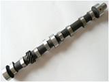 China Árbol de levas para las piezas del motor del motor 295/495/4100/4105/6105/6113/6126 de Weifang Ricardo en venta