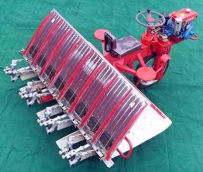 China Repicadora 2ZT-8238 del arroz de arroz en venta
