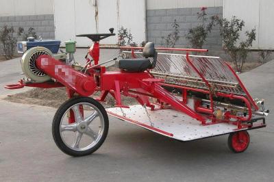 China traje de la repicadora del arroz de arroz de 6 filas para la granja en venta