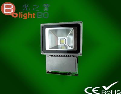 Cina Luci di inondazione impermeabili luminose monocromatiche del LED IP67 per il giardino 6000K in vendita
