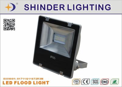 Cina Bianco caldo del proiettore impermeabile di 2430lm CRI80 30w LED per il progetto della decorazione in vendita